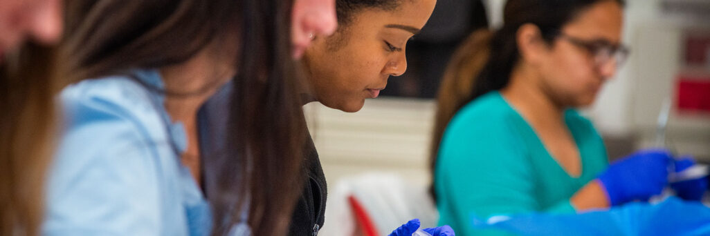 Online RN to MS in Nursing (RN-BSN-MSN) Degree Program | SHU